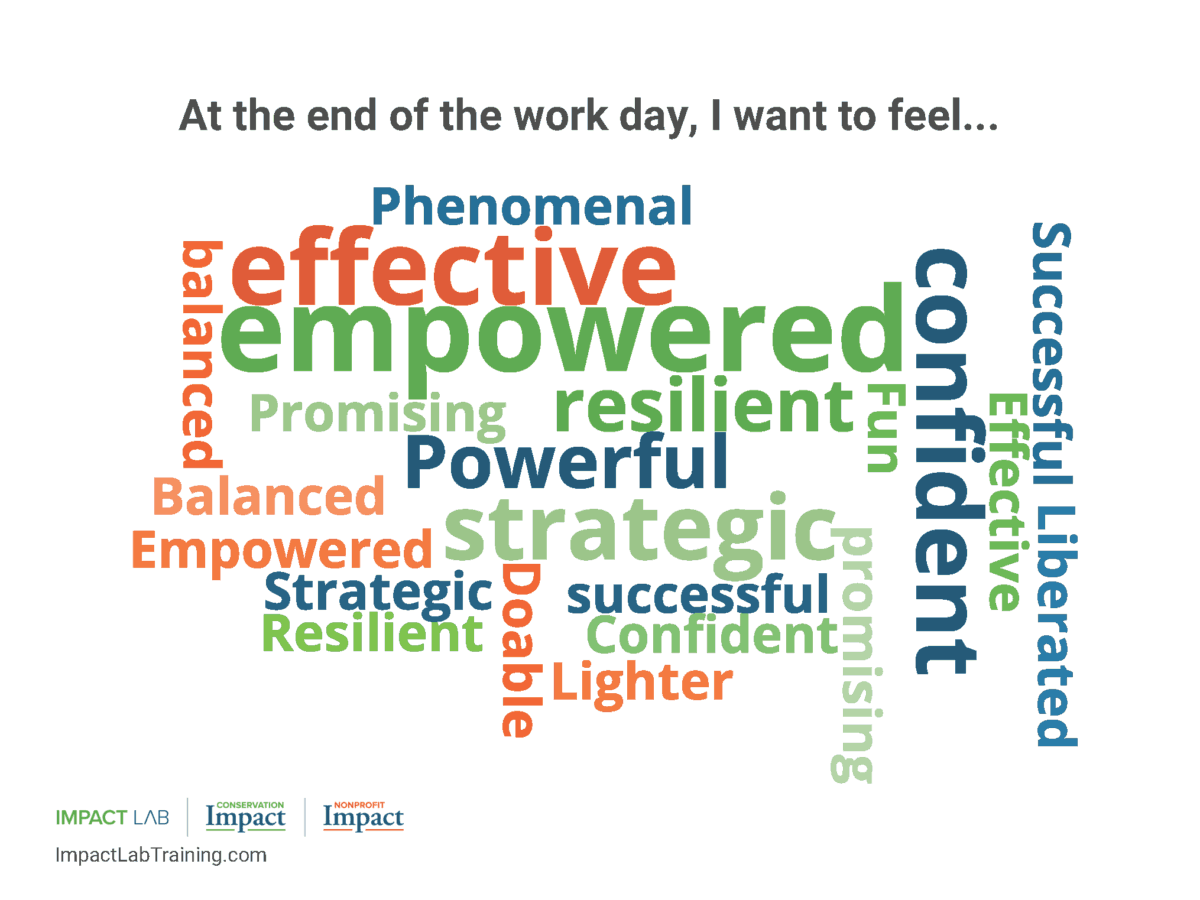 5 Tips to Stay Focused - Conservation Impact | Nonprofit Impact